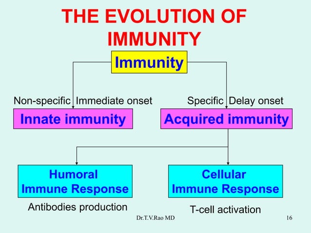 Introduction to immunity | PPTX | Infectious Diseases | Diseases and ...