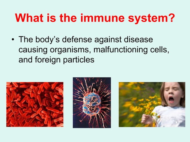 Introduction to immunity | PPTX | Infectious Diseases | Diseases and ...