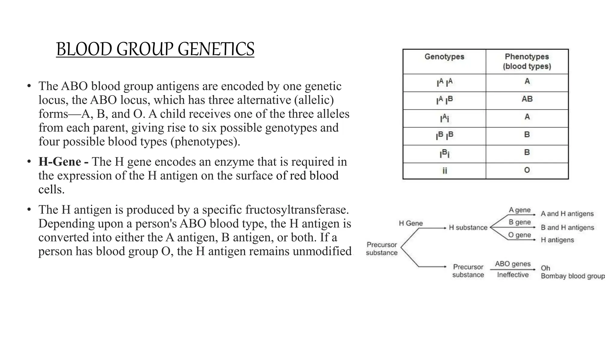INTRODUCTION TO IMMUNOHEMATOLOGY.PPTX DMLT | PPTX