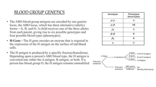 INTRODUCTION TO IMMUNOHEMATOLOGY.PPTX DMLT | PPTX