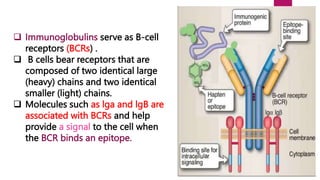 INTRODUCTION TO IMMUNOLOGY.pptx