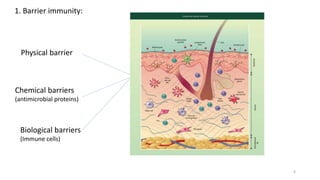 Introduction to Immunology.pptx