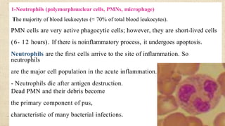 Introduction to immunology Biochemistry | PPTX