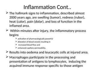 INTRODUCTION to IMMUNOLOGY, Cells of the immune system | PPT