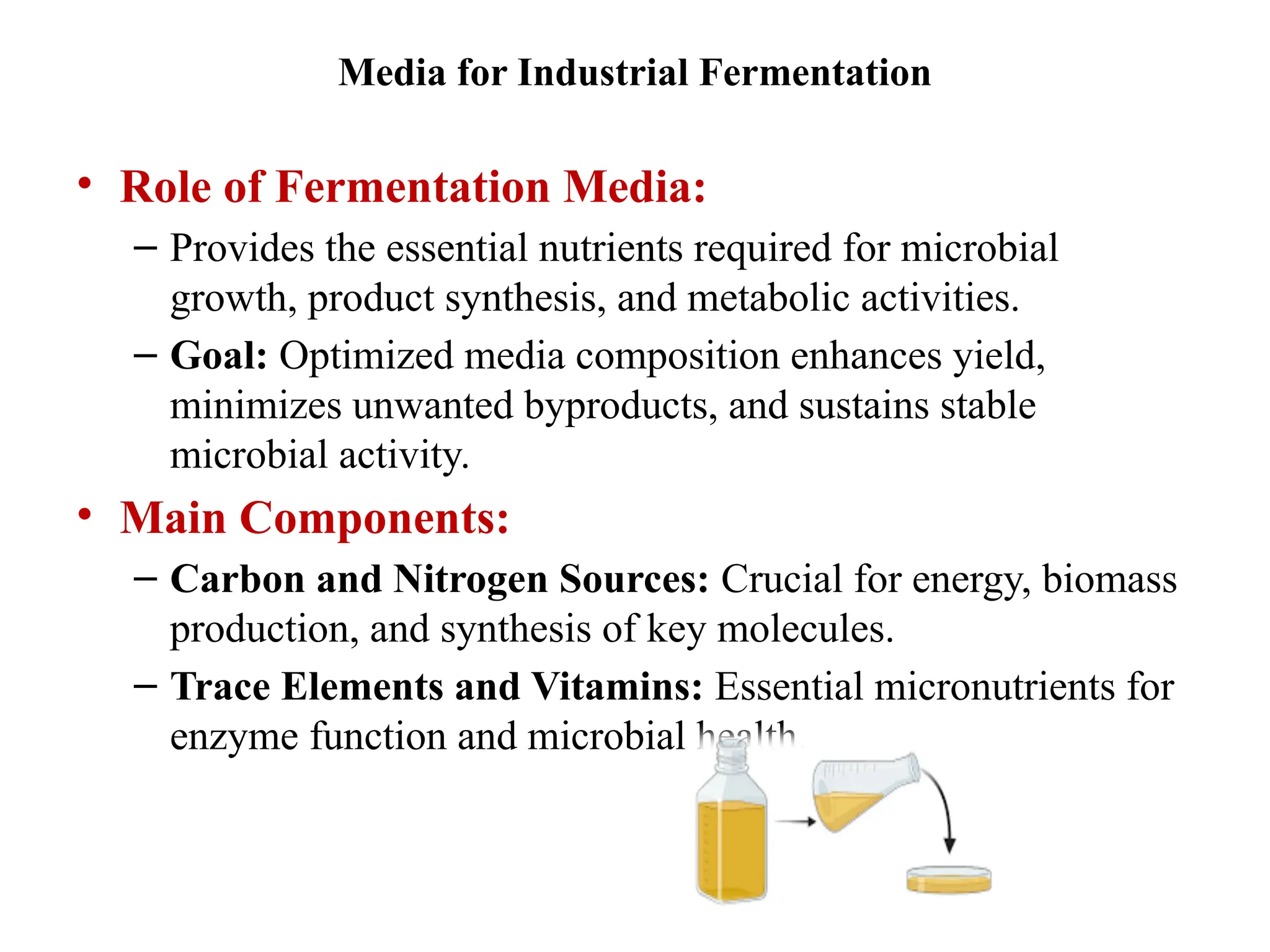 Industrial Fermentation: Microbial Magic for Amino Acids, Enzymes, and ...