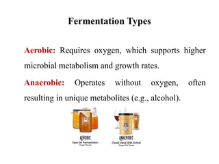 Industrial Fermentation: Microbial Magic for Amino Acids, Enzymes, and ...