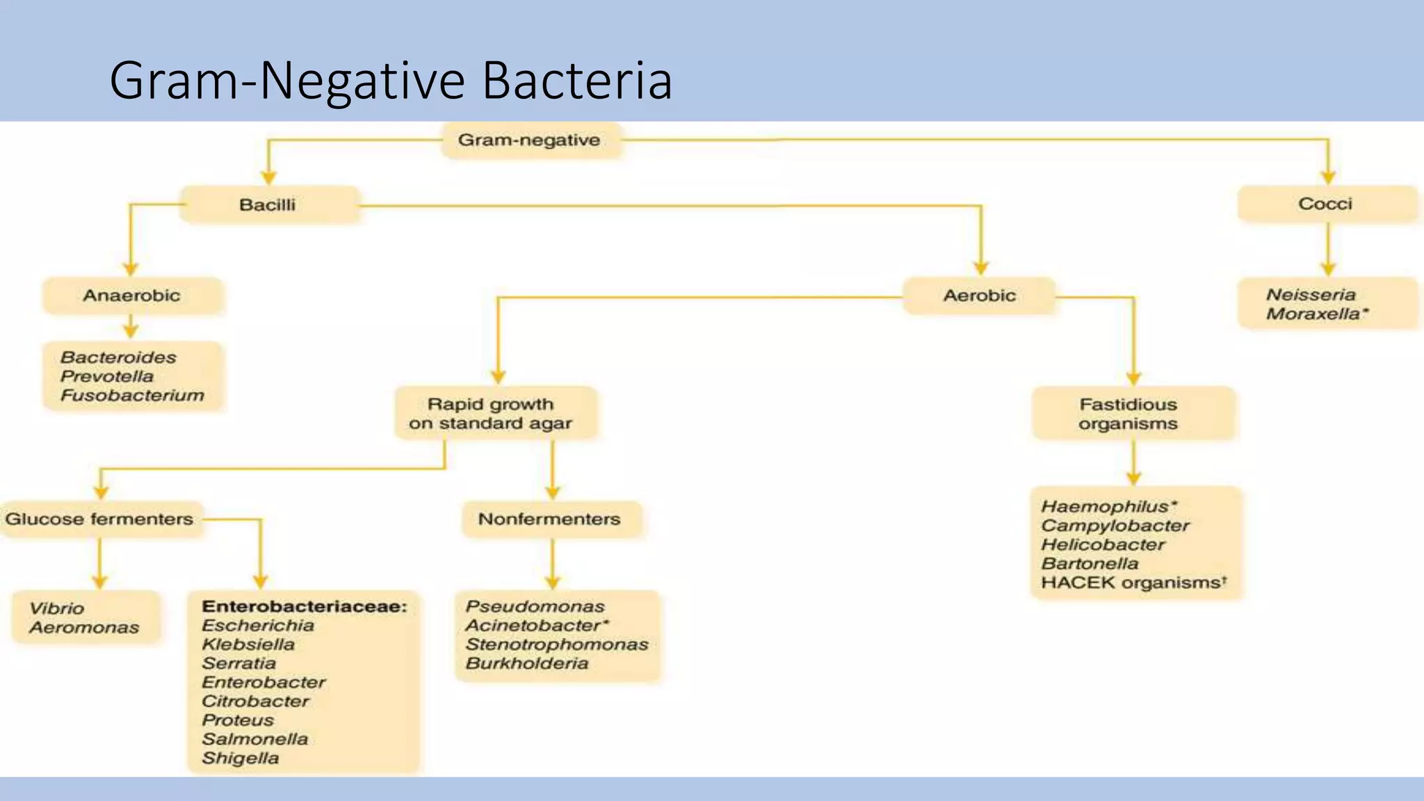 introduction to infectious disease.pptx