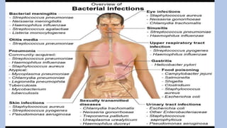 introduction to infectious disease.pptx