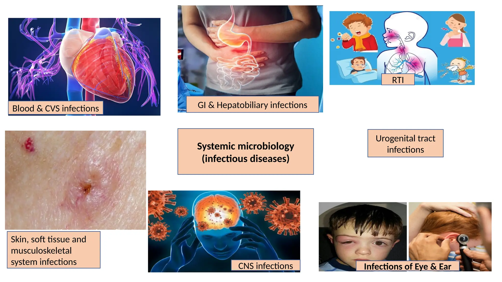 INTRODUCTION TO INFECTIOUS DISEASES &HISTORY OF MICROBIOLOGY.pptx
