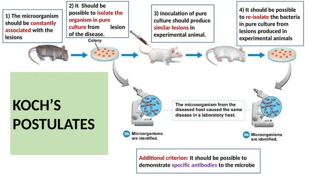 INTRODUCTION TO INFECTIOUS DISEASES &HISTORY OF MICROBIOLOGY.pptx