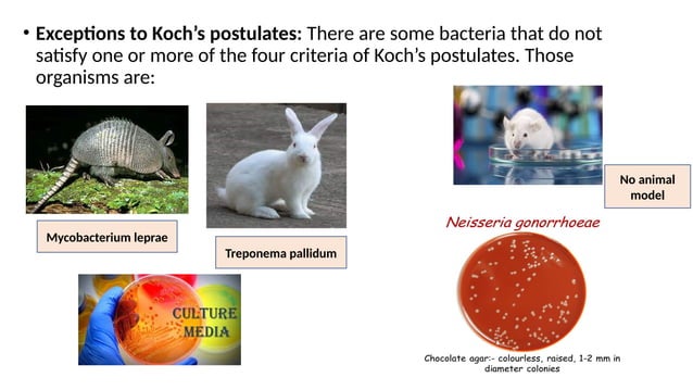 INTRODUCTION TO INFECTIOUS DISEASES &HISTORY OF MICROBIOLOGY.pptx