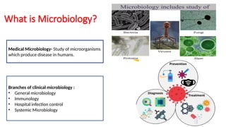 INTRODUCTION TO INFECTIOUS DISEASES &HISTORY OF MICROBIOLOGY.pptx