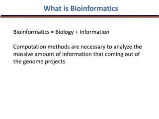 Introduction to Information Technology and Bioinformatics Basic Concepts.pptx