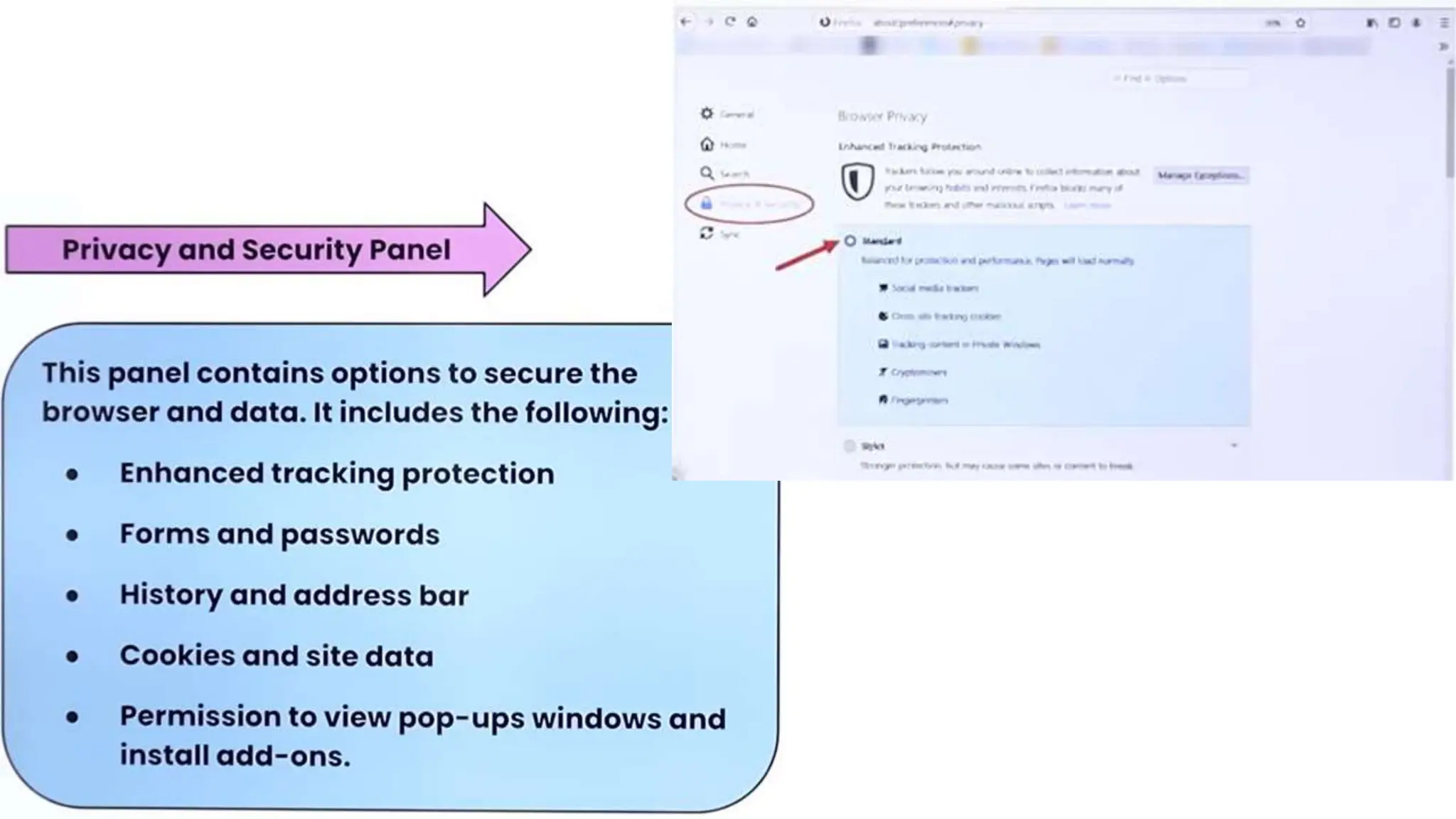 Introduction to Interent and Web knowledge.pptx