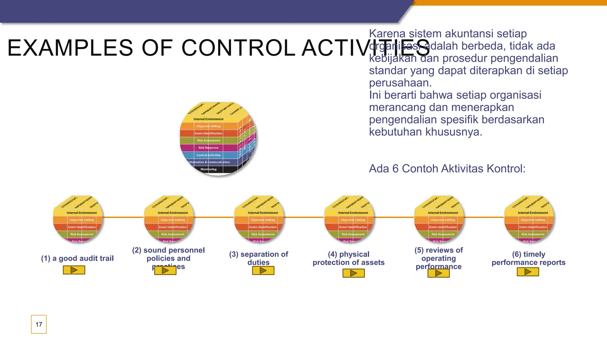 Introduction to Internal Control Systems | PPTX
