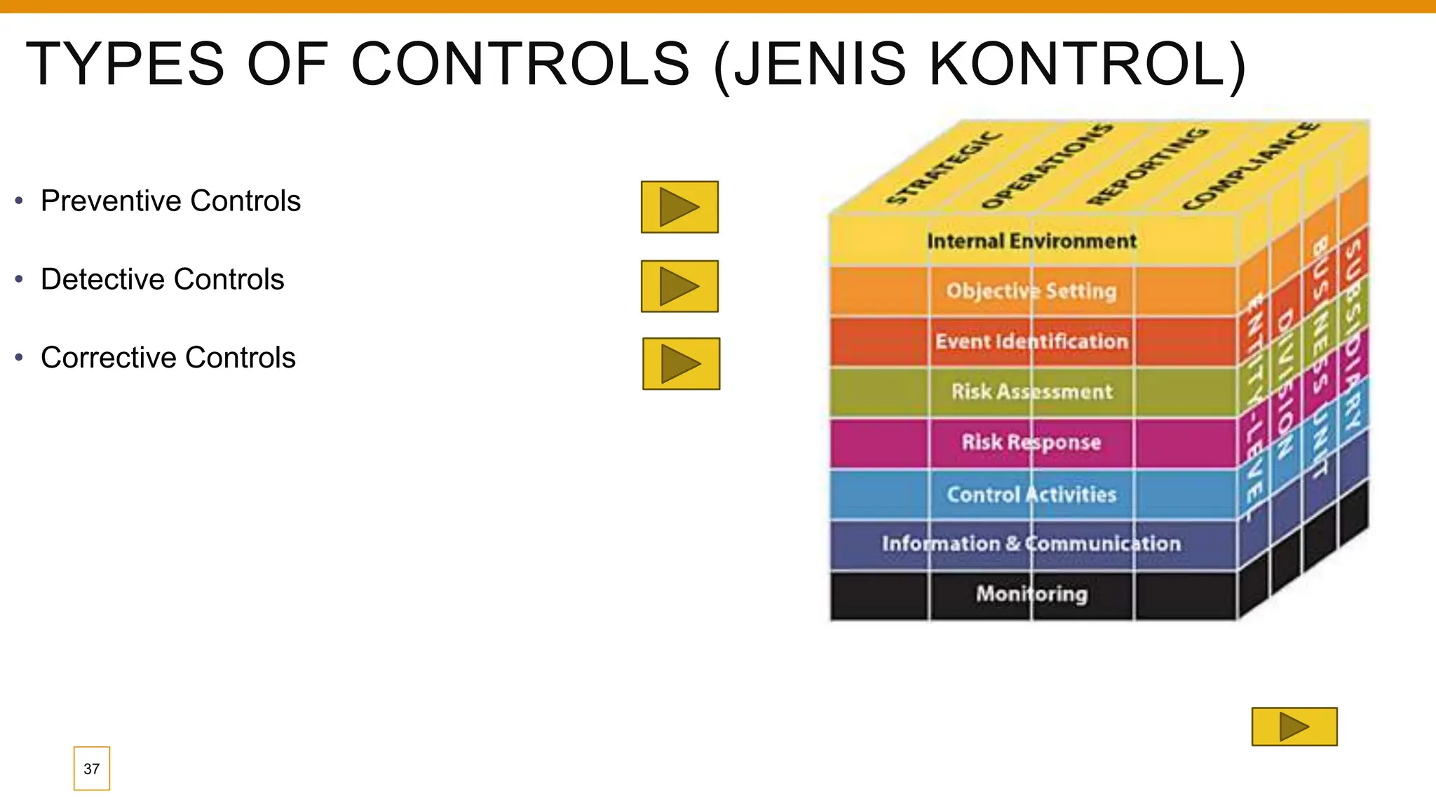Introduction to Internal Control Systems | PPTX