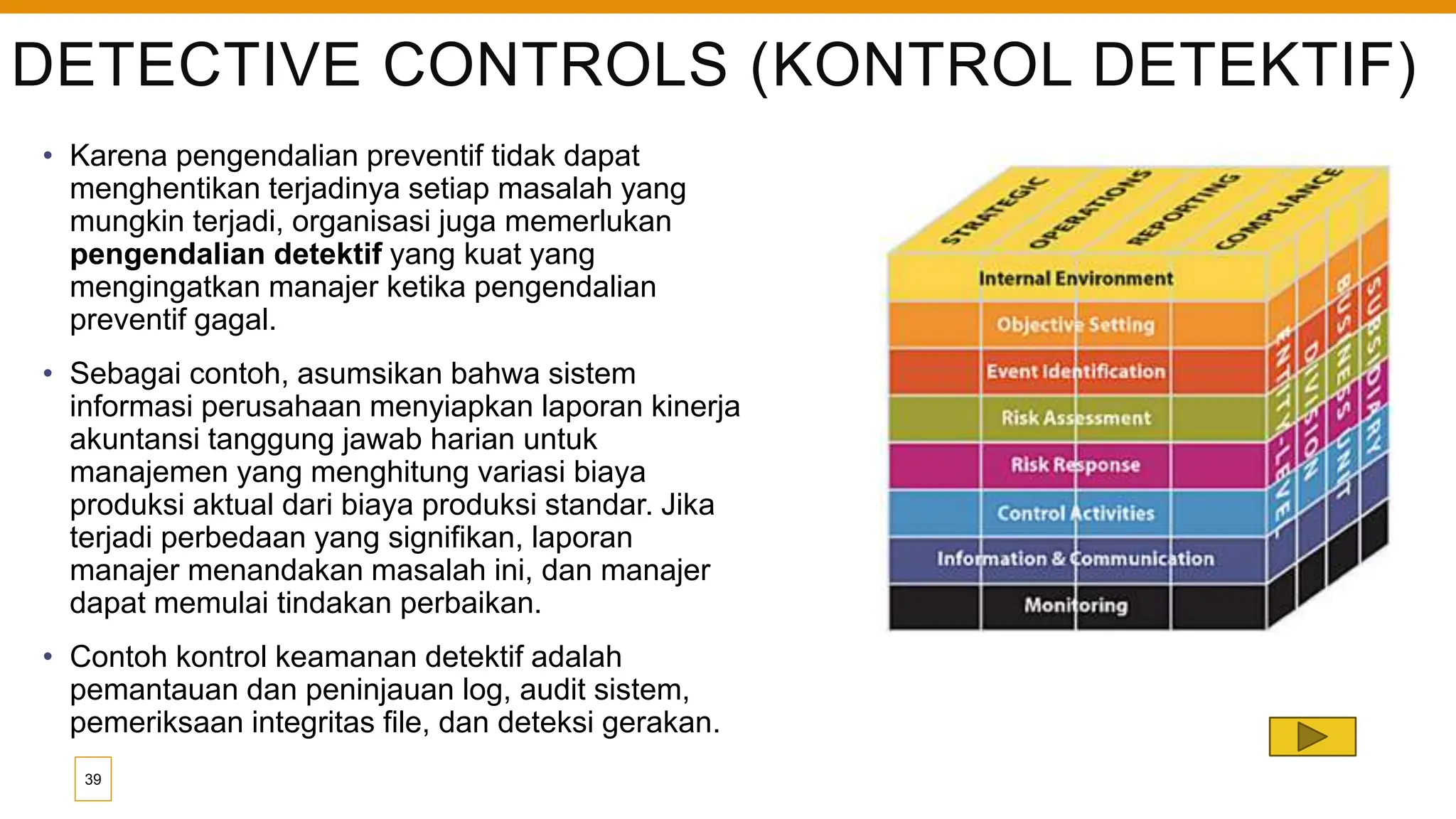 Introduction to Internal Control Systems | PPTX