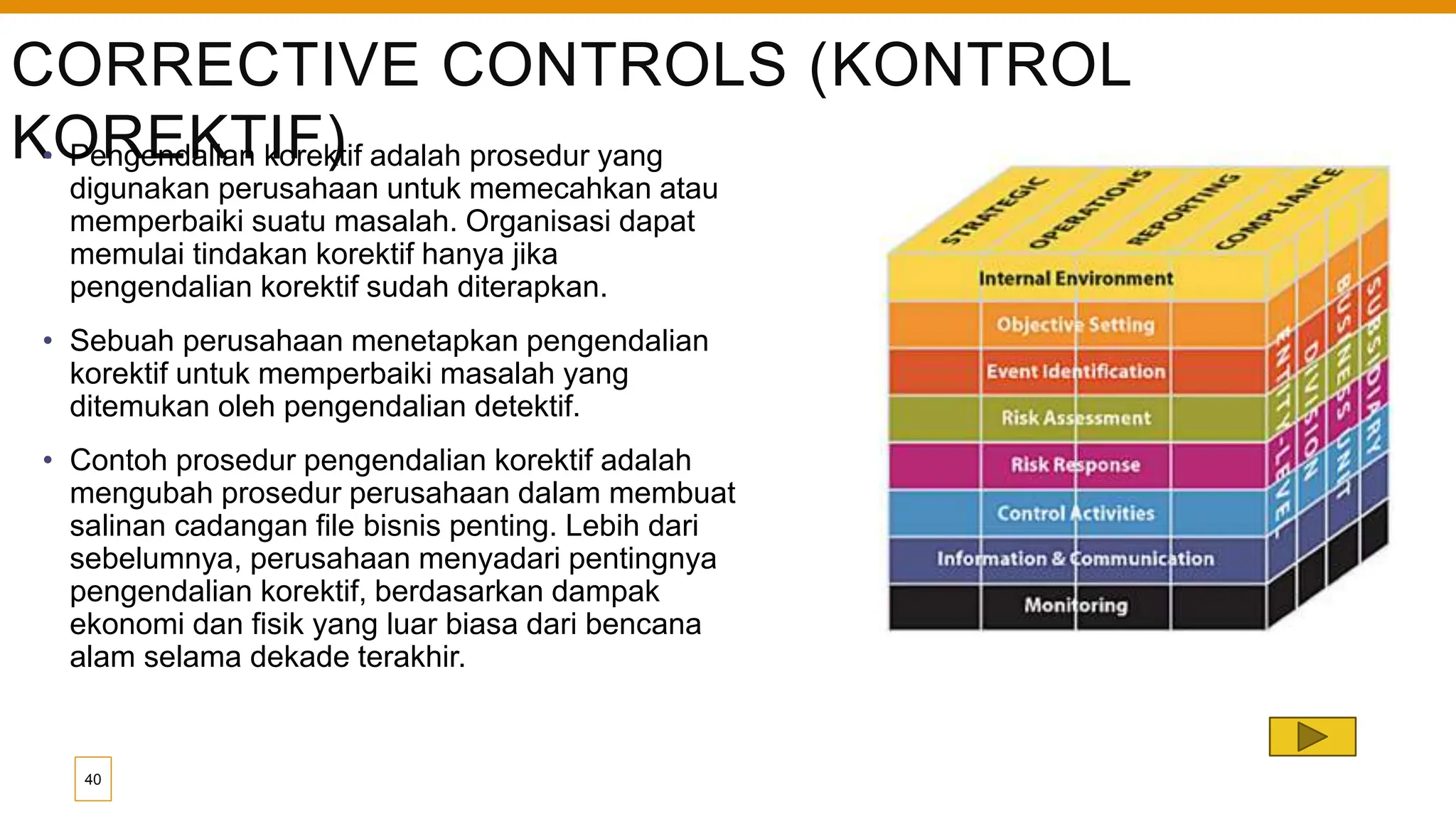 Introduction to Internal Control Systems | PPTX