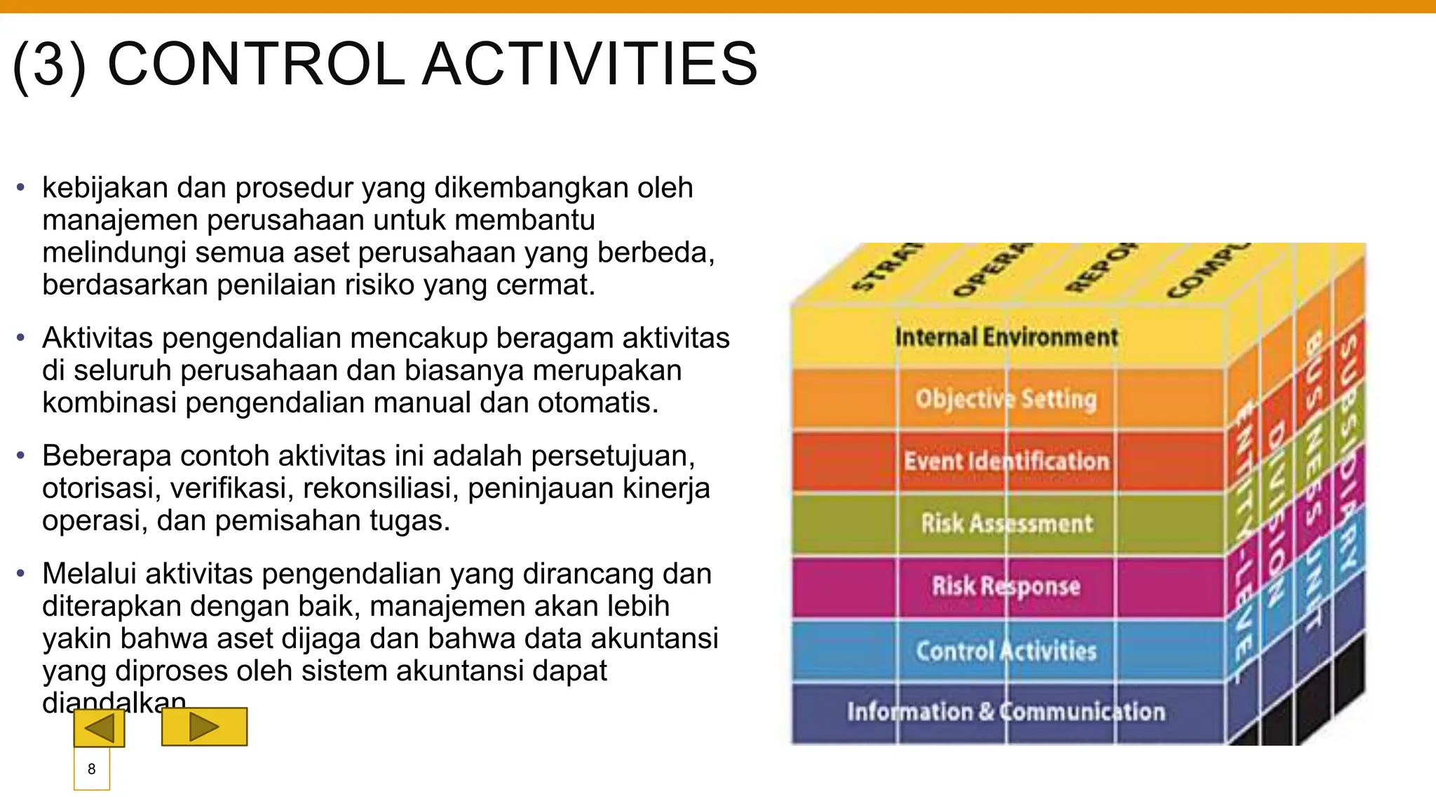 Introduction to Internal Control Systems | PPTX