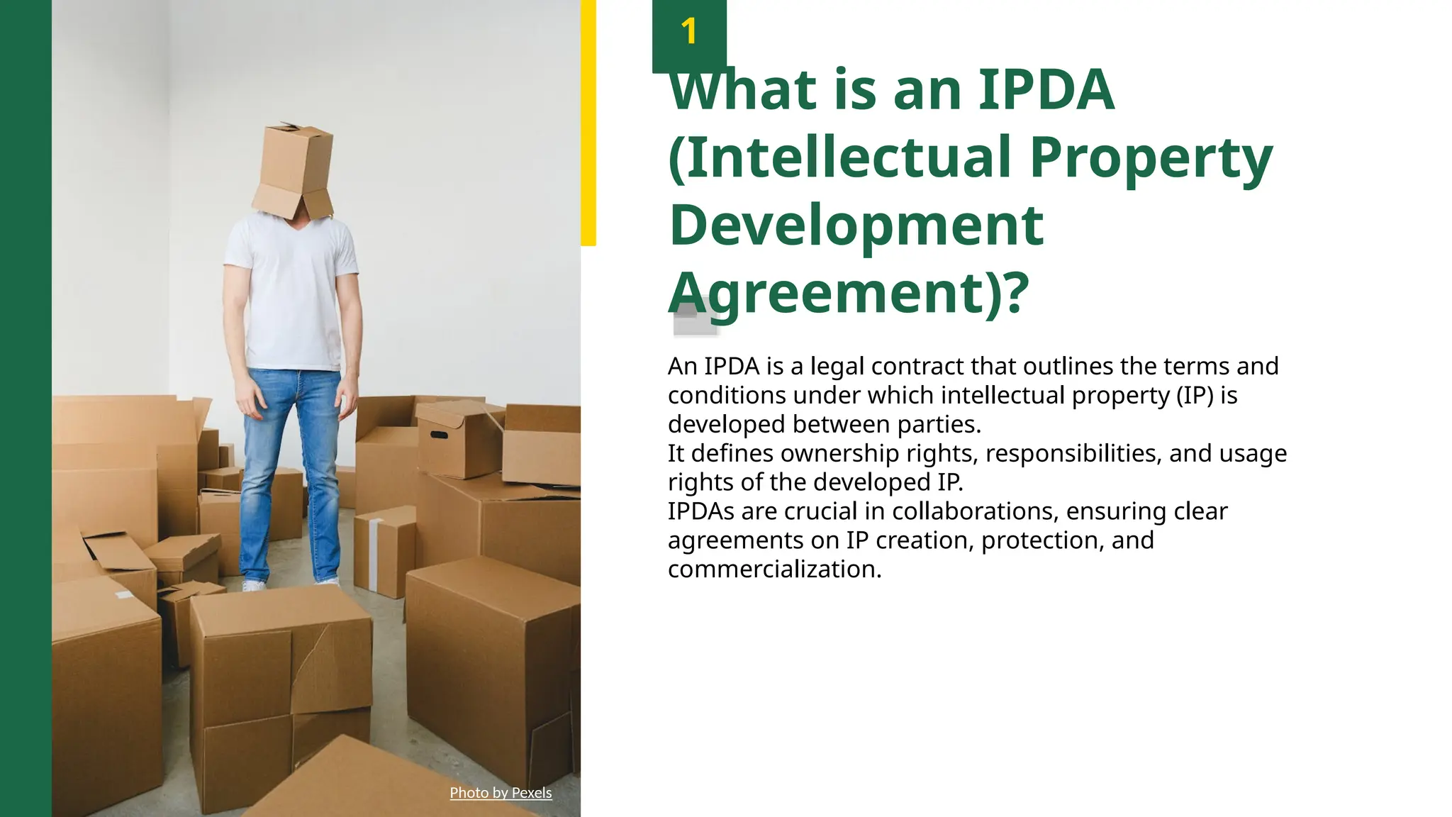 IntroductiontoIPDAIntellectualPrope.pptx