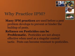 Introduction to ipm | PPTX
