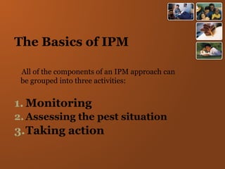 Introduction to ipm | PPTX