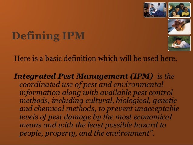 Introduction to ipm
