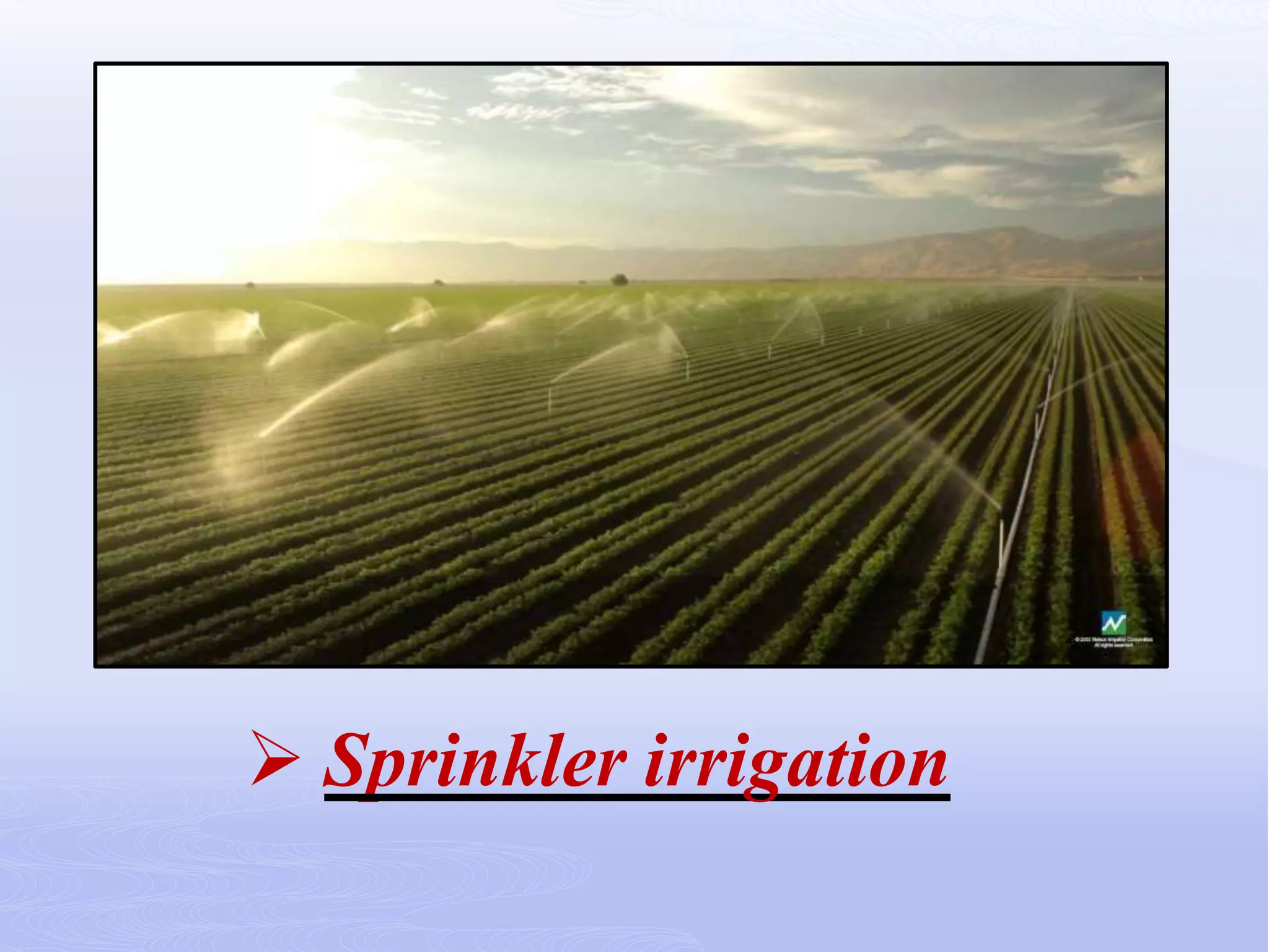 Introduction To Irrigation | PPTX