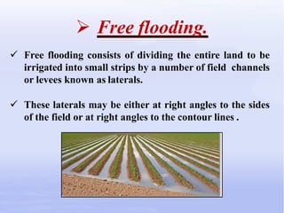 Introduction To Irrigation | PPTX