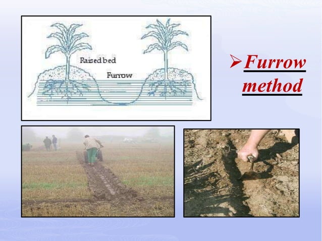 Introduction To Irrigation | PPTX | Agriculture | Industries