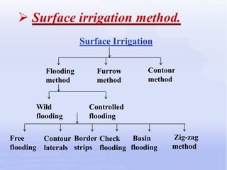 Introduction To Irrigation | PPTX