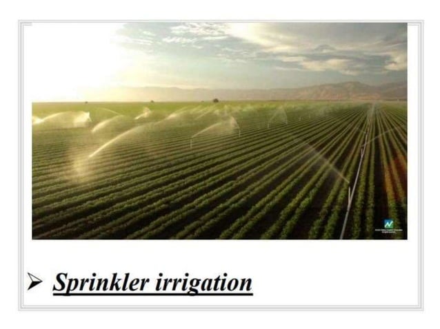 Introduction to irrigation and hydrology | PPTX | Water Services | Home ...