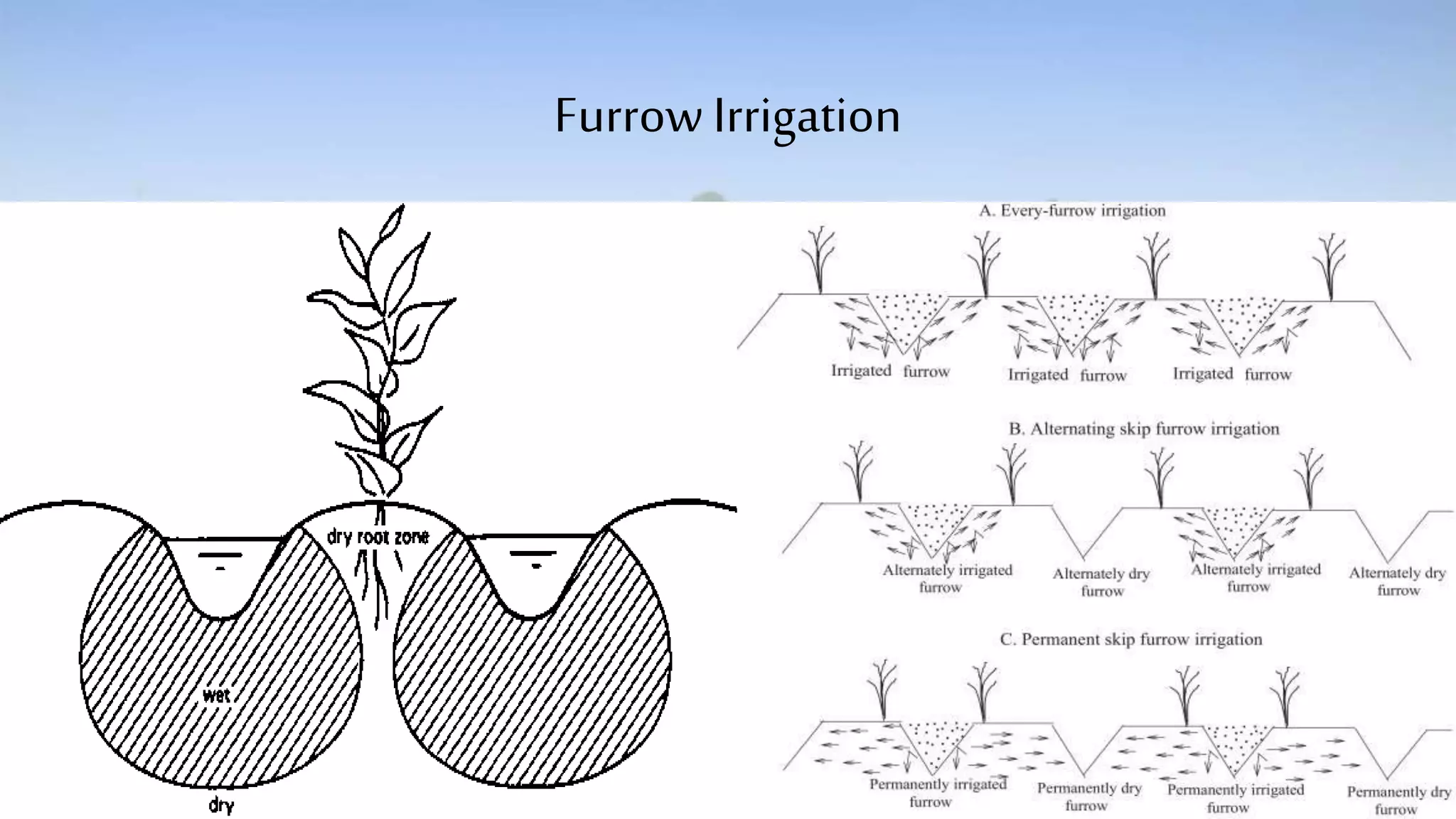 Introduction to Irrigation Engineering | PPTX