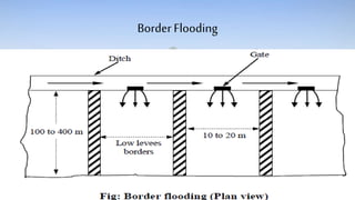 Introduction to Irrigation Engineering | PPTX
