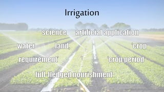 Introduction to Irrigation Engineering | PPTX