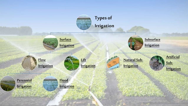 Introduction to Irrigation Engineering | PPTX