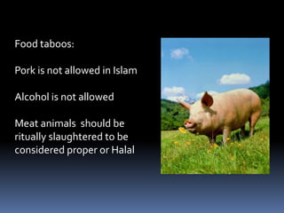 Introduction to islam | PDF | Islam | Religion & Spirituality