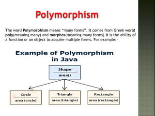 Introduction to Object Oriented Programming Class IX | PPTX