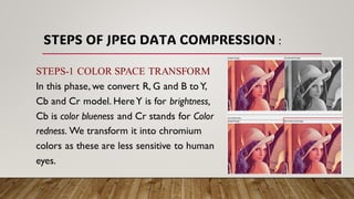 Introduction to JPEG and MPEG standard techniques | PDF