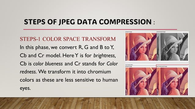 Introduction to JPEG and MPEG standard techniques | PDF | Digital Audio ...
