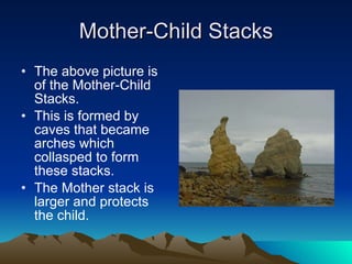 Introduction to karitane | PPT