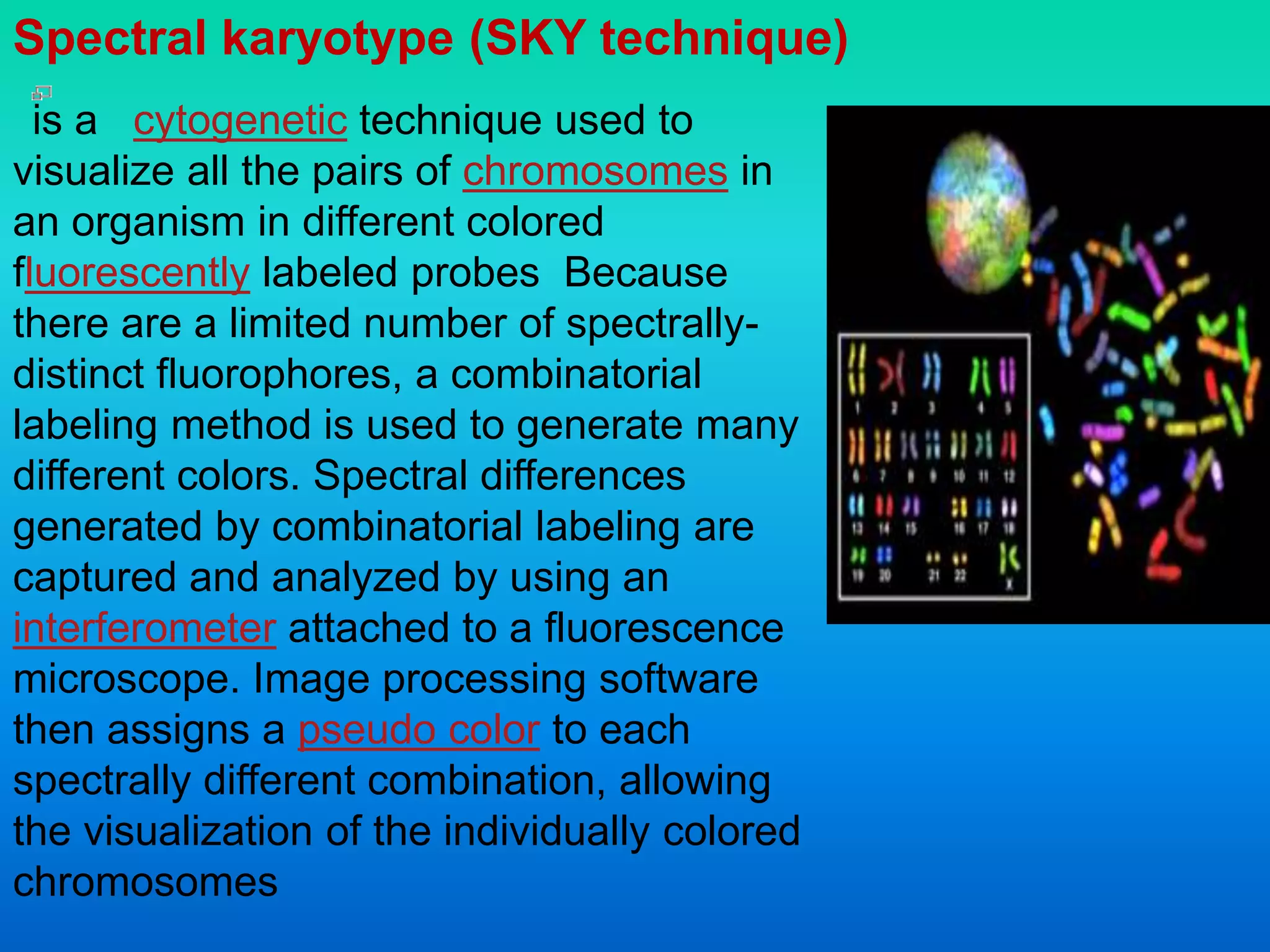 Introductiontokaryotyping.pptx