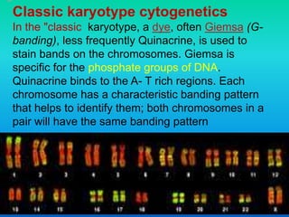 Introduction to karyotyping examination. | PPT
