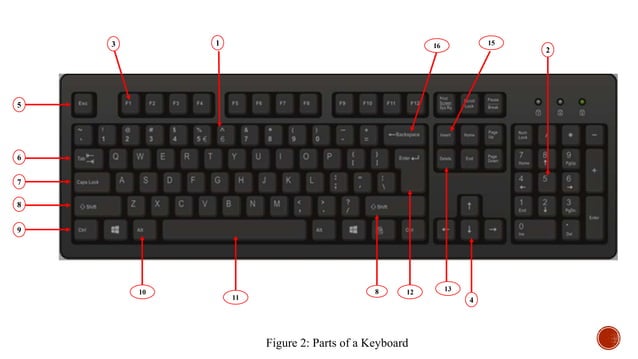 Introduction to keyboarding & document processing_PPT1.pptx | Computer Peripherals | Computing
