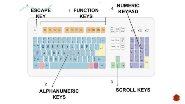 Introduction to keyboarding & document processing_PPT1.pptx | Computer Peripherals | Computing