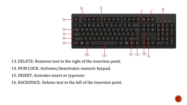 Introduction to keyboarding & document processing_PPT1.pptx | Computer Peripherals | Computing