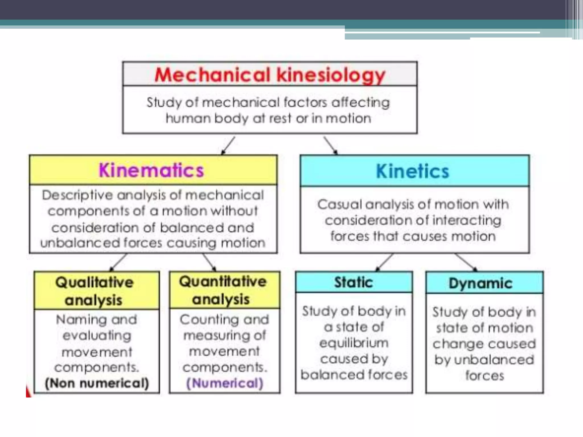 Introduction to kinesiology (Biomechanics- Physiotherapy) | PPTX