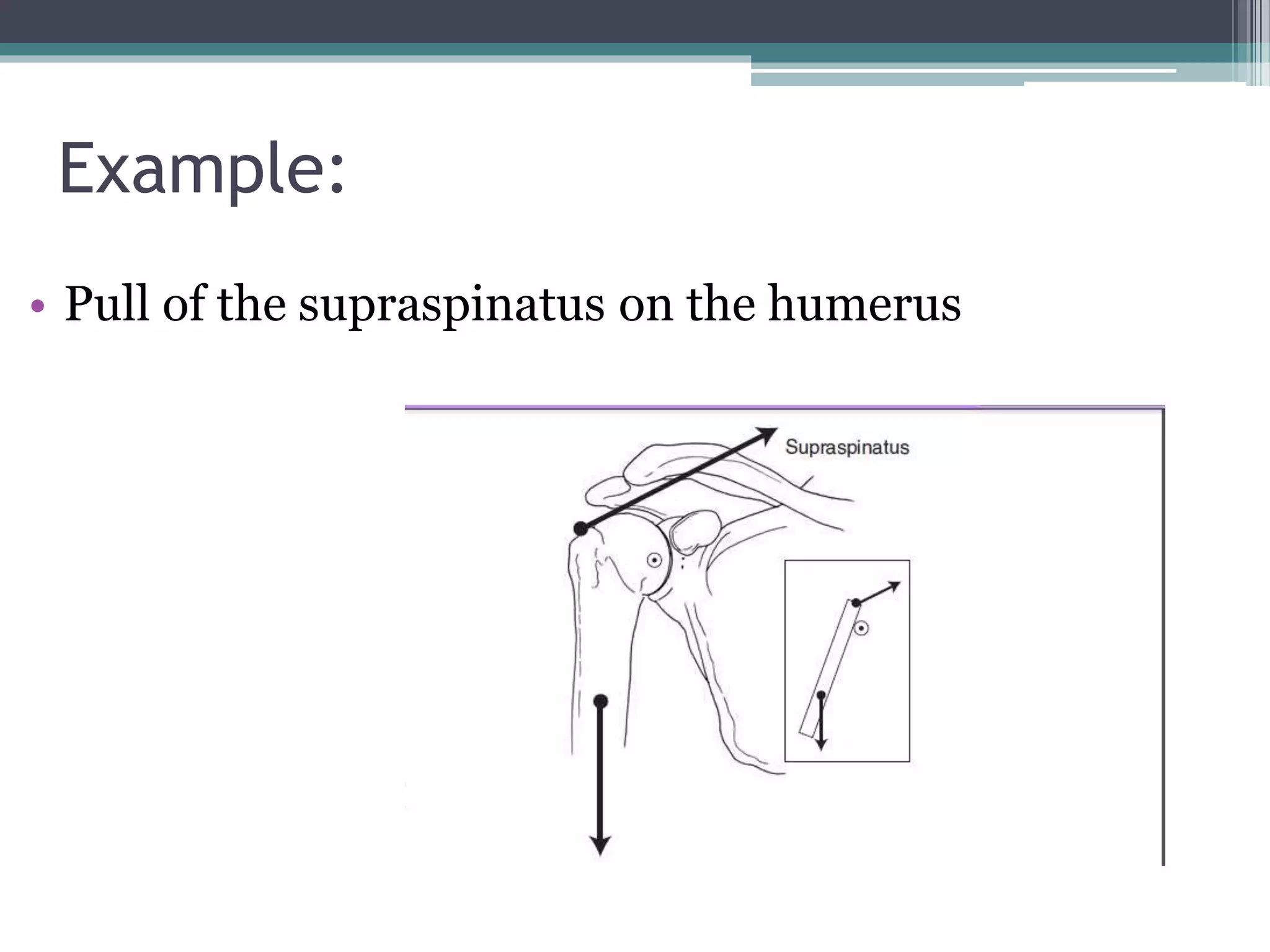 Introduction to kinesiology (Biomechanics- Physiotherapy) | PPTX