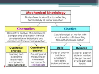 Introduction to kinesiology (Biomechanics- Physiotherapy) | PPTX