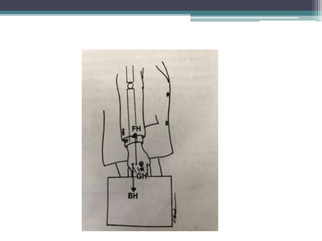 Introduction to kinesiology (Biomechanics- Physiotherapy) | PPTX ...